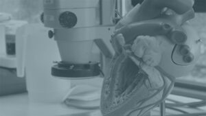 Home - Baylis Medical Technologies