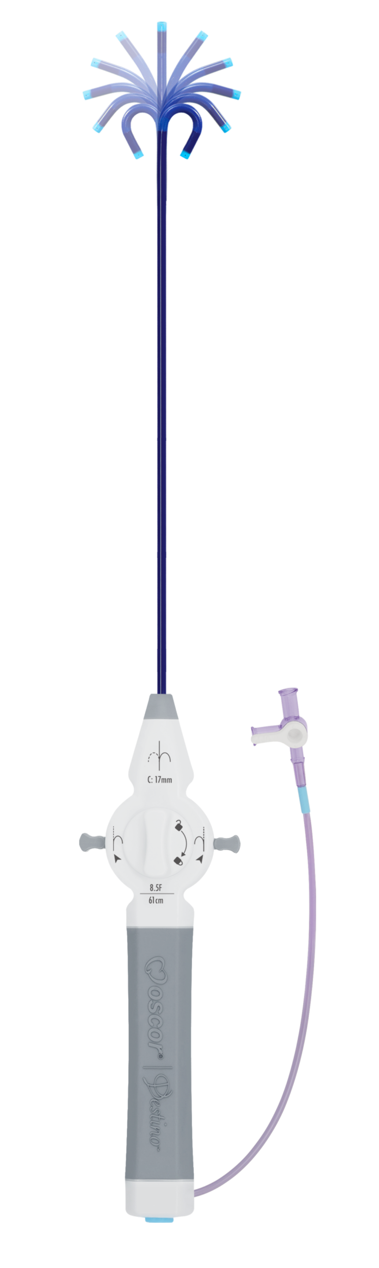 Destino™ Steerable Sheath | Guiding Sheath | Endovascular Access