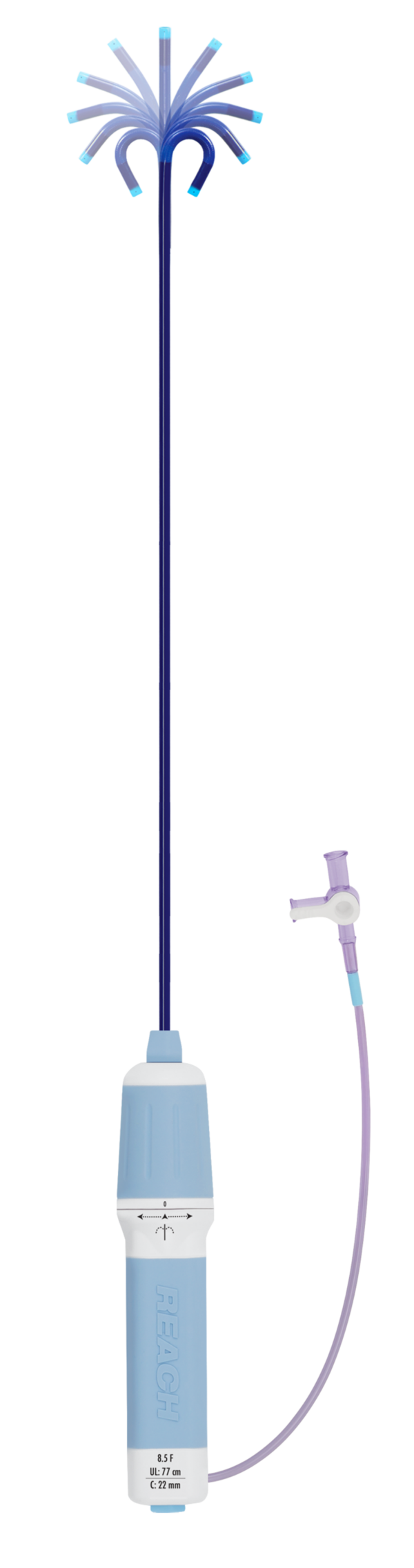 Destino™ Reach Steerable Sheath | Guiding Sheath | Endovascular Access