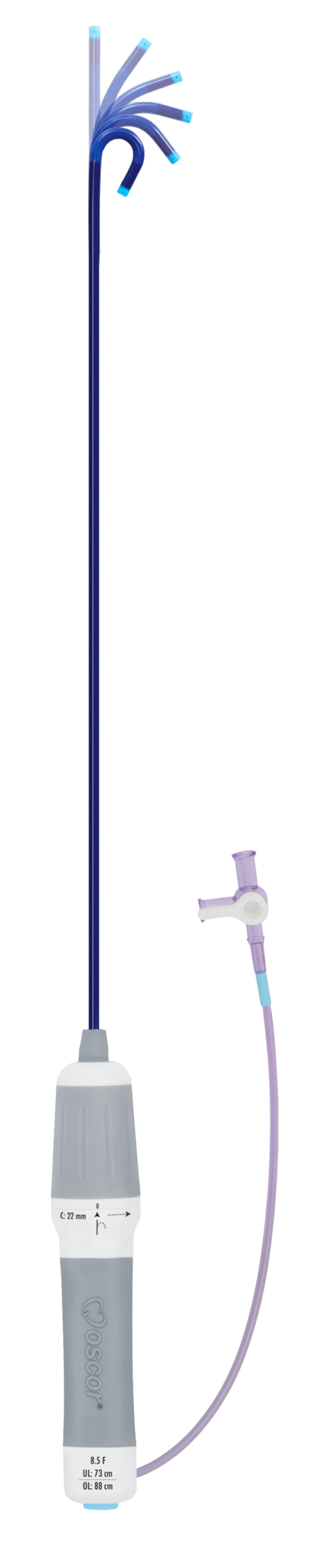 Destino™ Twist Steerable Sheath | Guiding Sheath | Endovascular Access