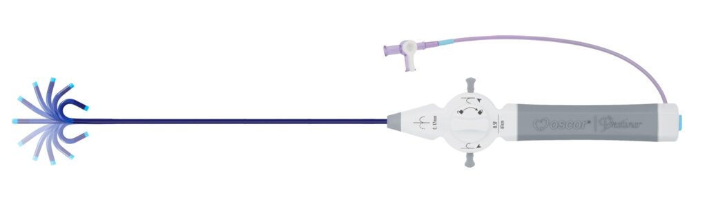 Destino™ Steerable Sheath | Guiding Sheath | Endovascular Access