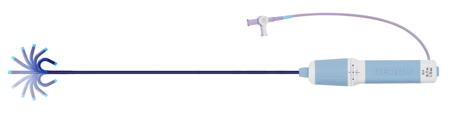 Destino™ Reach Steerable Sheath | Guiding Sheath | Endovascular Access