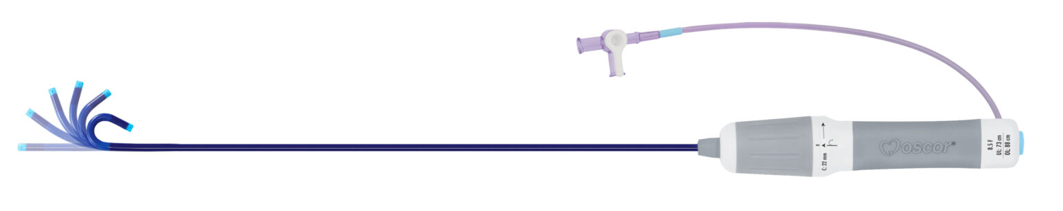 Destino™ Twist Steerable Sheath | Guiding Sheath | Endovascular Access