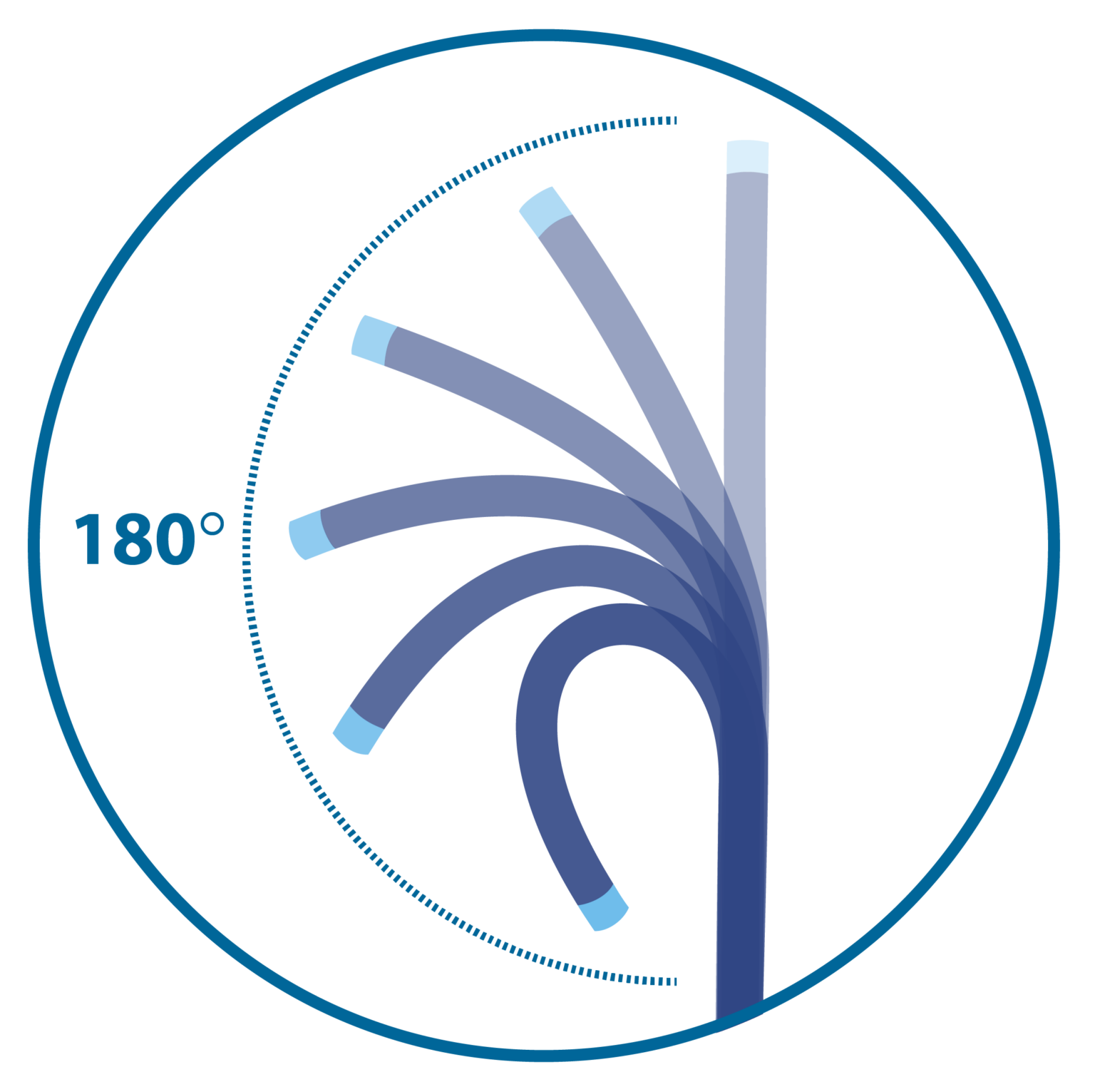 Passport® Steerable Sheath | Cannulate Contralateral Access | Renal ...
